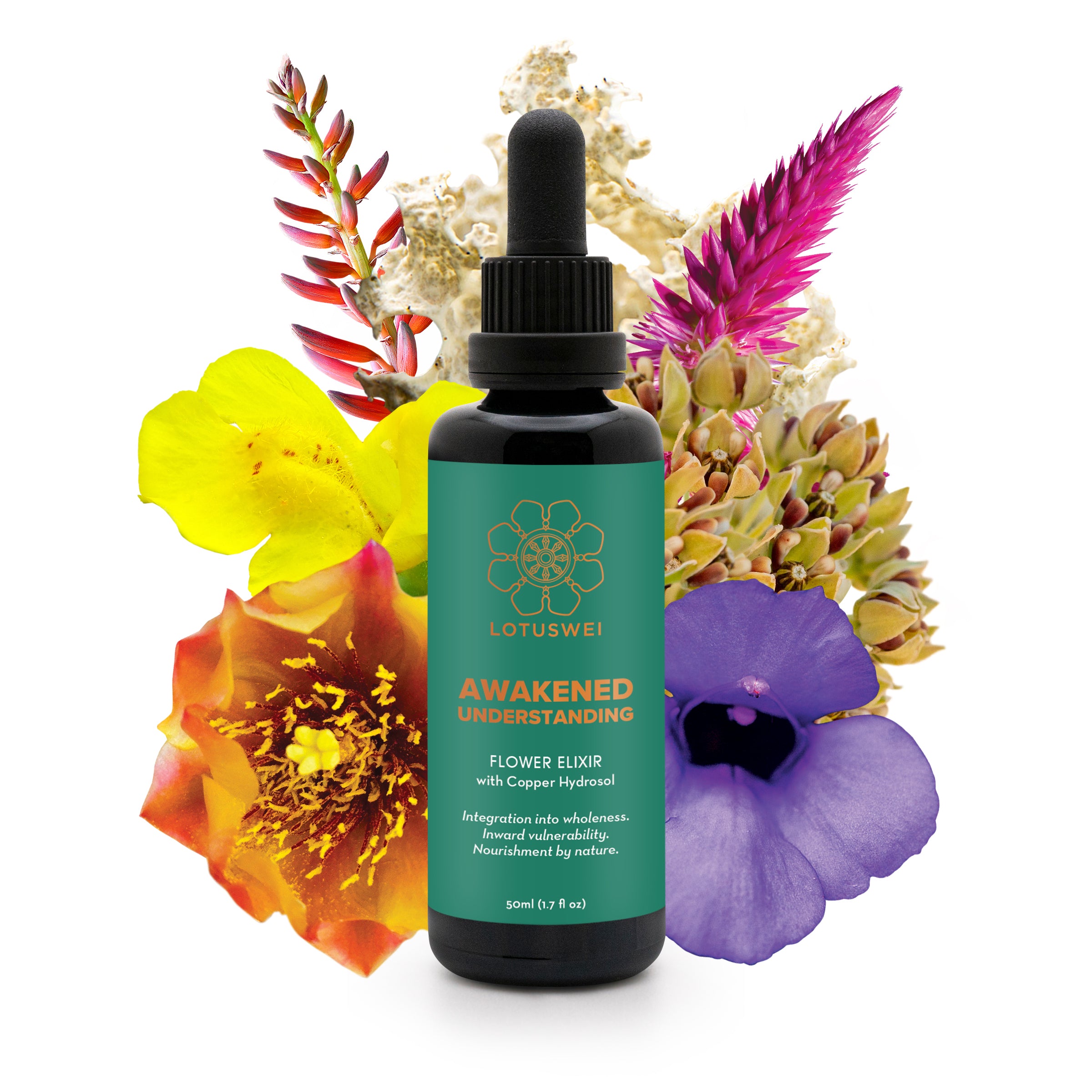 Awakened Understanding Flower Elixir | LOTUSWEI Flower Essences ... Awakened Understanding Flower Elixir | LOTUSWEI Flower Essences ...