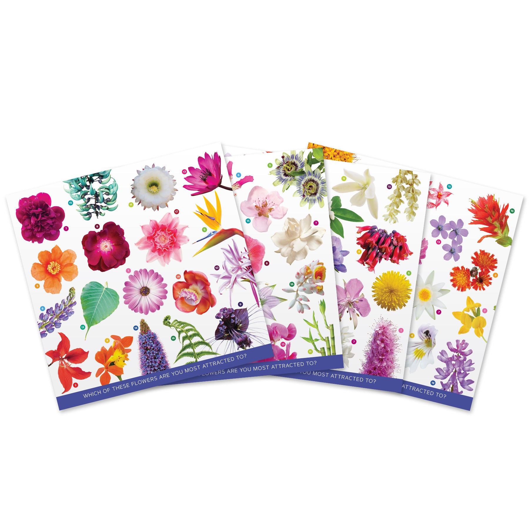 CATALYST Pick A Flower Sheets – LOTUSWEI-WHOLESALE