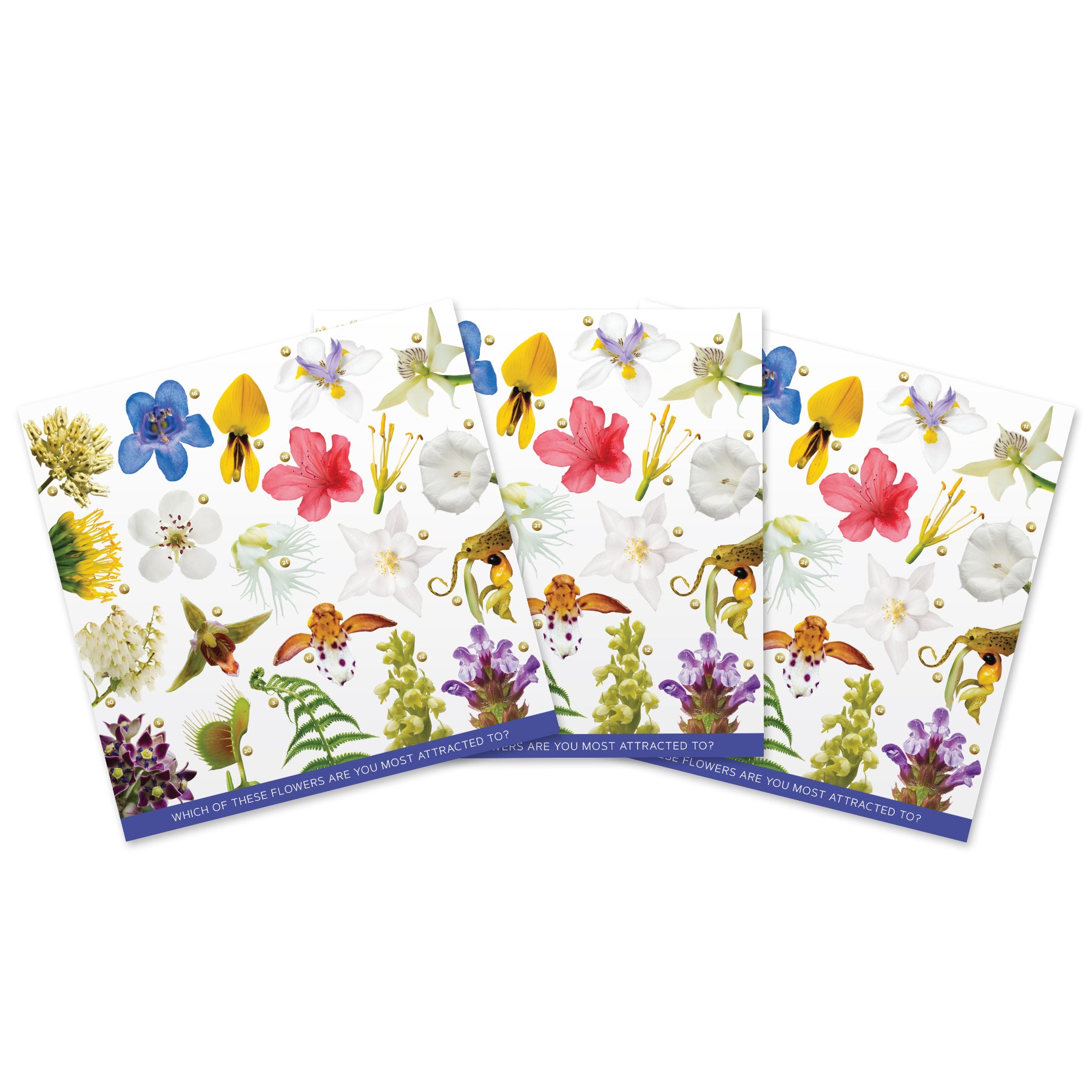SACRED Pick A Flower Sheets – LOTUSWEI-WHOLESALE