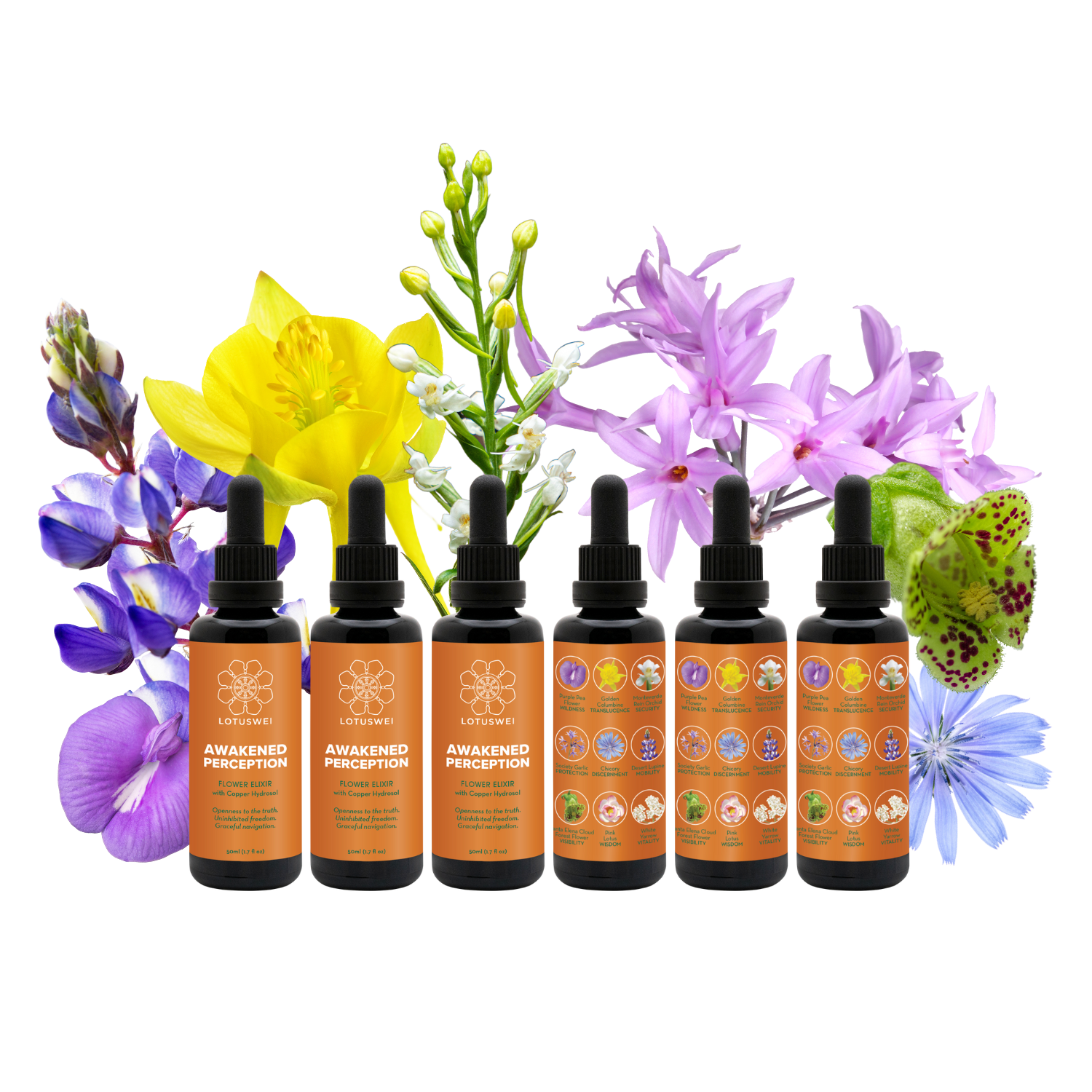 Awakened Perception Flower Elixir - 6 pack | LOTUSWEI Flower Essences ...
