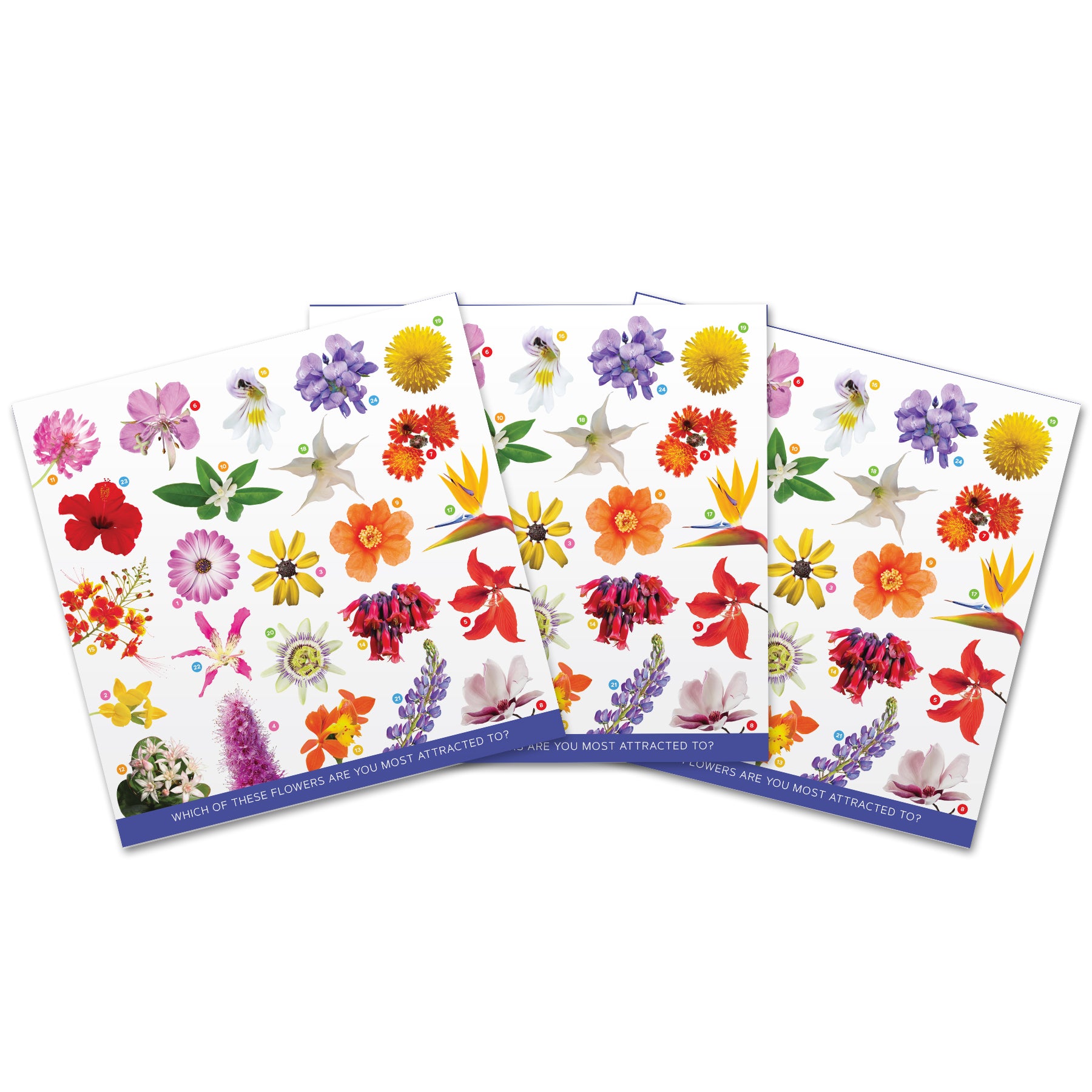 LEVEL 1: STABILIZATION Pick A Flower Sheets – LOTUSWEI-WHOLESALE