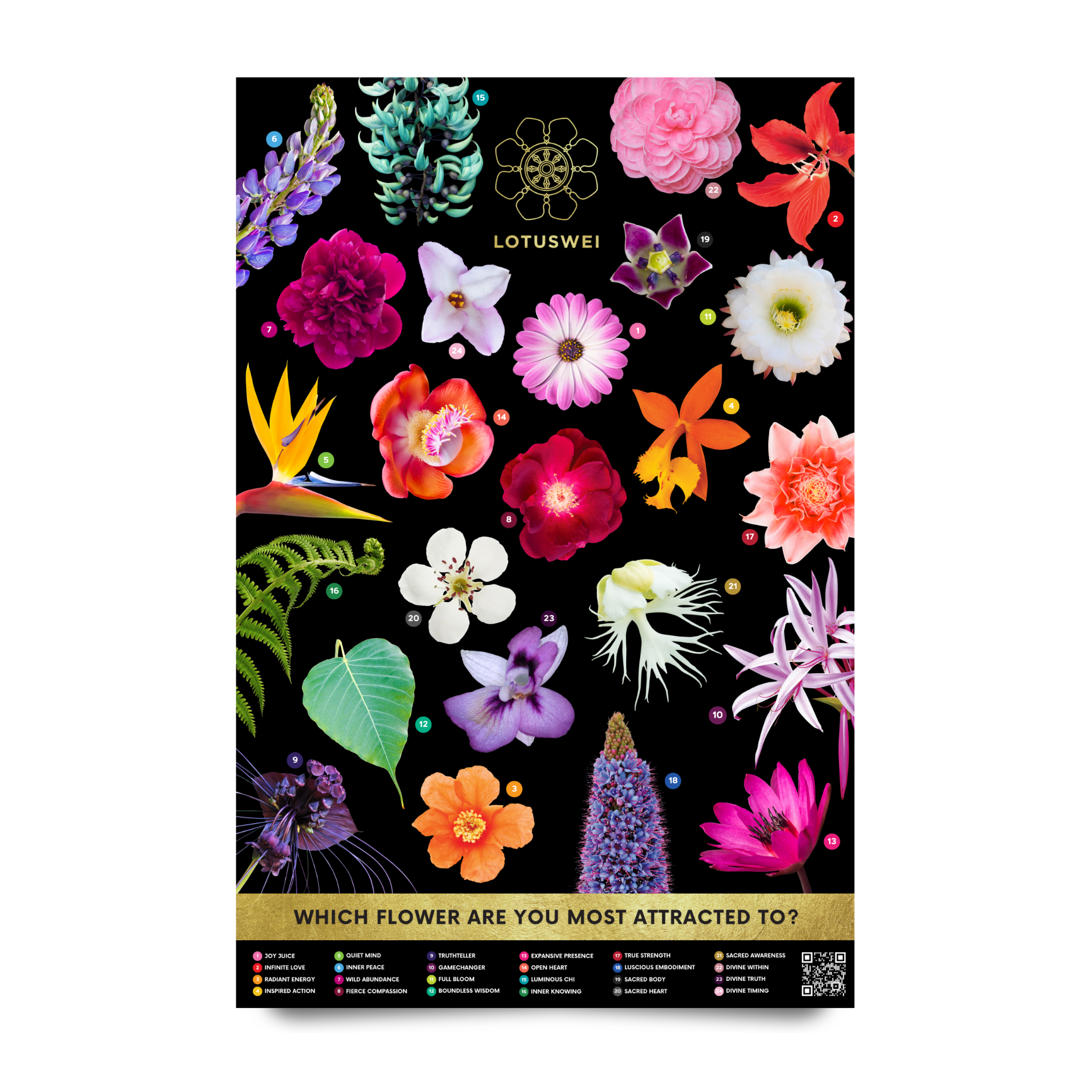 Interactive Pick-A-Flower Posters – LOTUSWEI-WHOLESALE