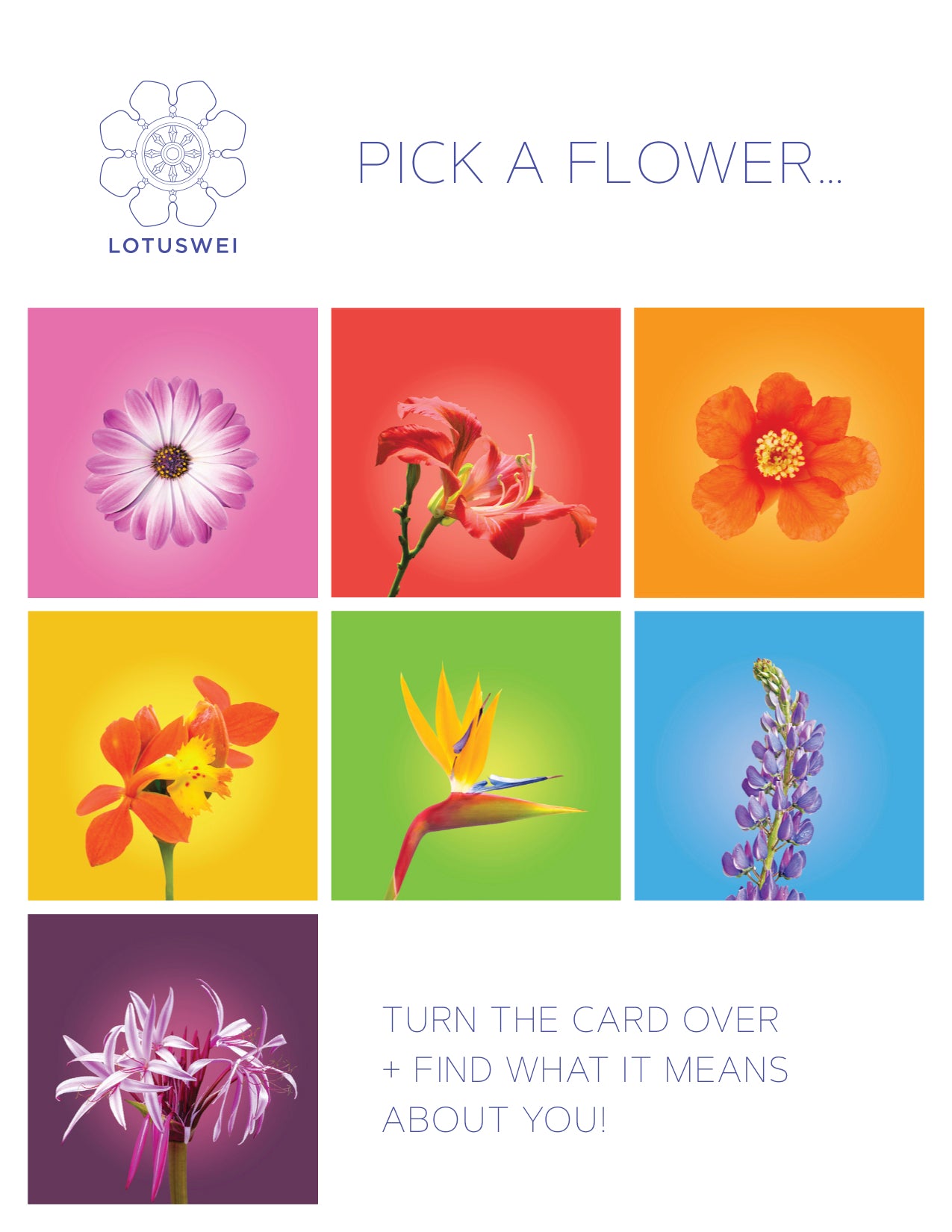 Back Bar Pick a Flower Double Sided Card – LOTUSWEI-WHOLESALE